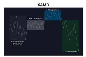 Mastering ICT Quarterly Theory: Make Smart Profits!