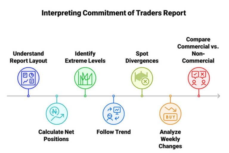 Commitment of Traders Report Explained Simply