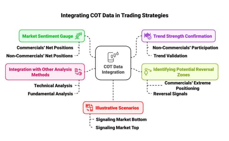 Commitment of Traders Report Explained Simply