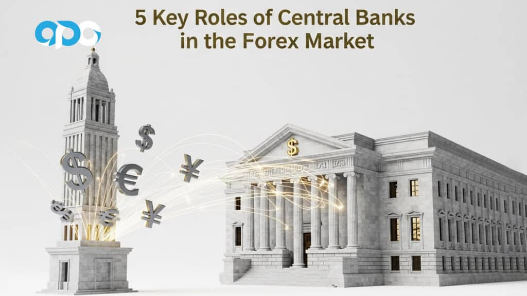 5 Key Roles of Central Banks in the Forex Market